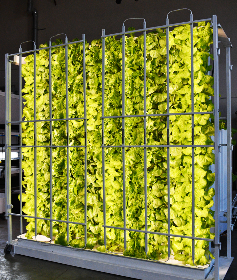 Flex Acre by Fork Farms - Coolest Thing Made in WI
